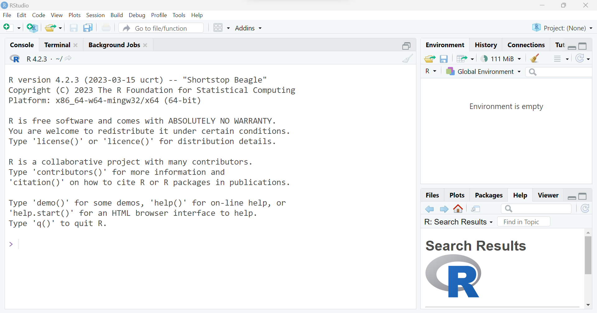 R & RStudio Grundlagen