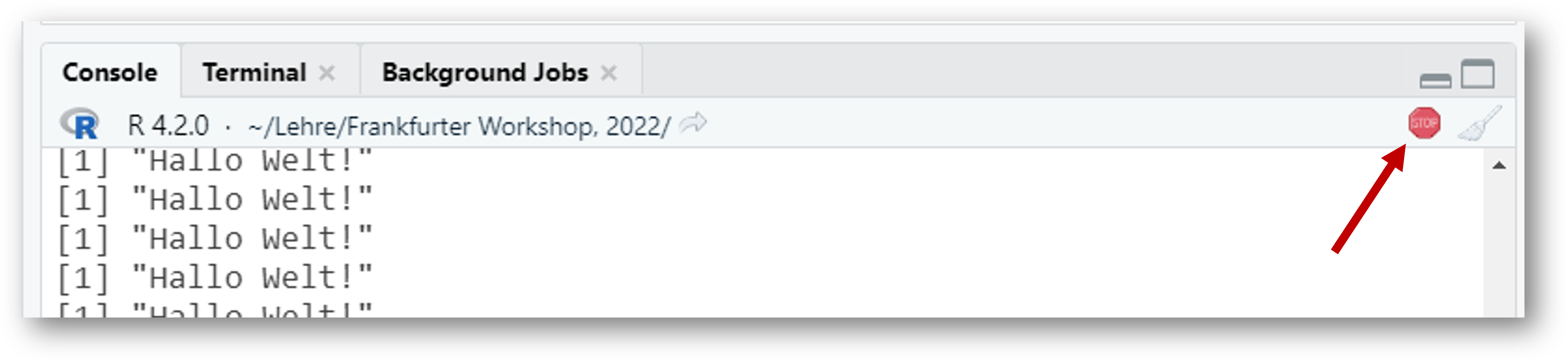 R & RStudio Grundlagen
